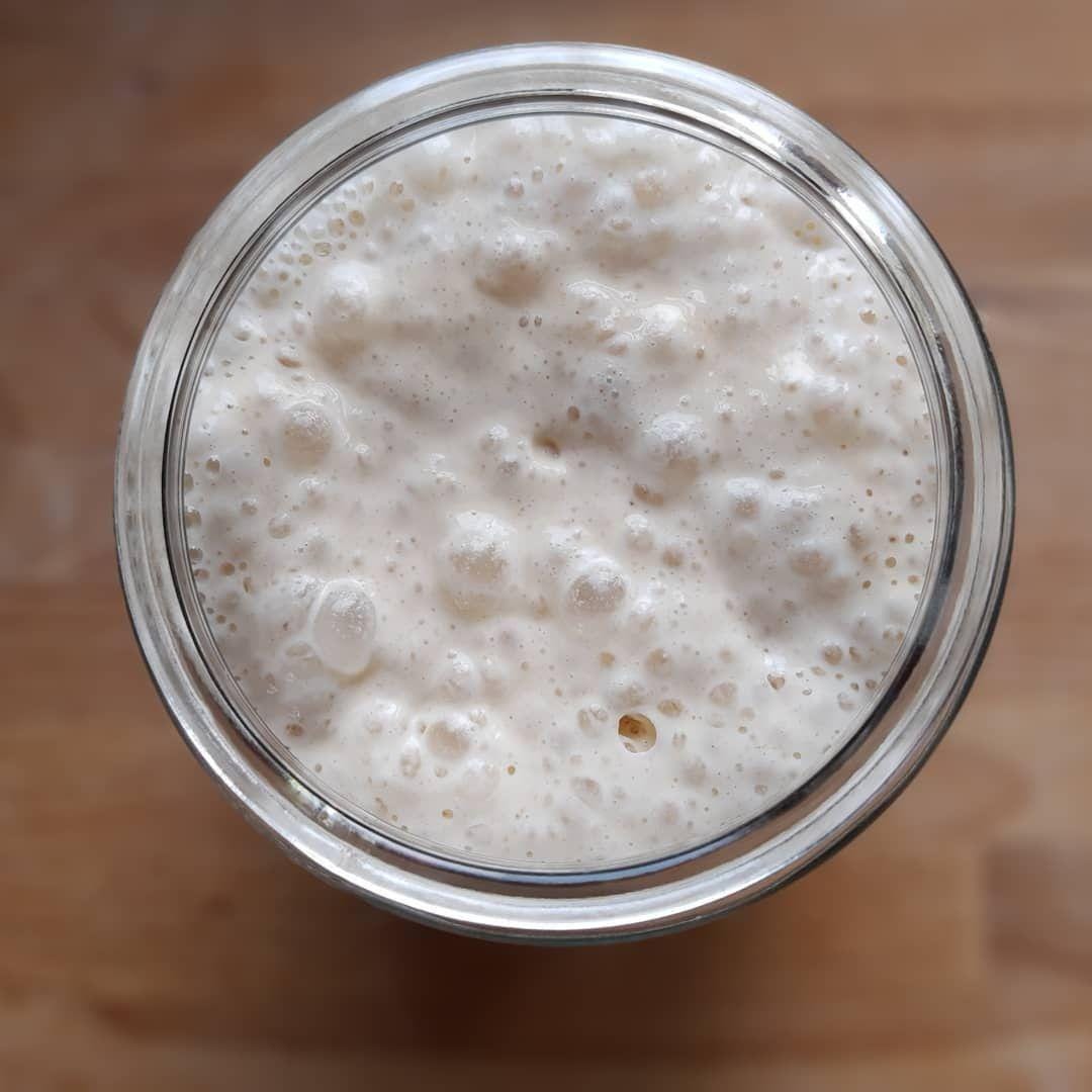 Welsh Live Organic Sourdough Starter, 46 Year Old. Includes 2 Recipes ...
