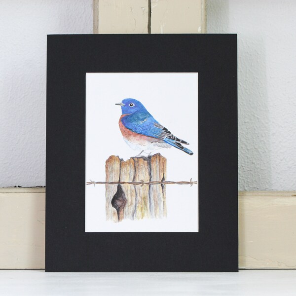 Missouri State Bird - Etsy