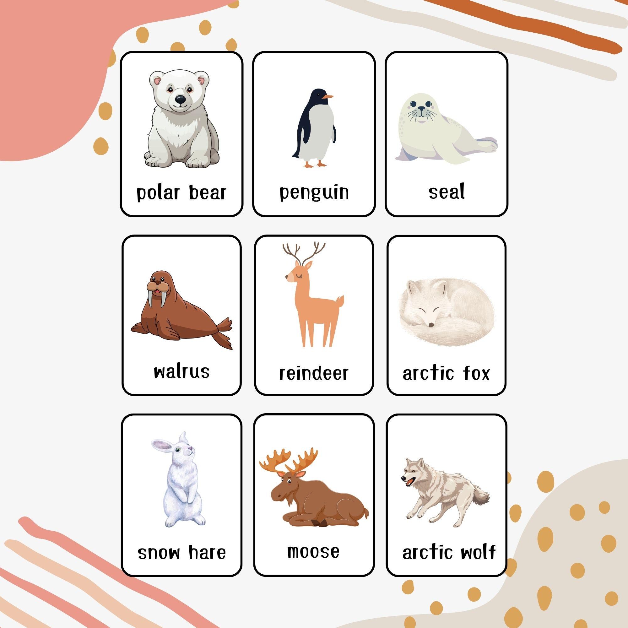 Printable Arctic Animals Flashcards – Educational Learning Game for ...