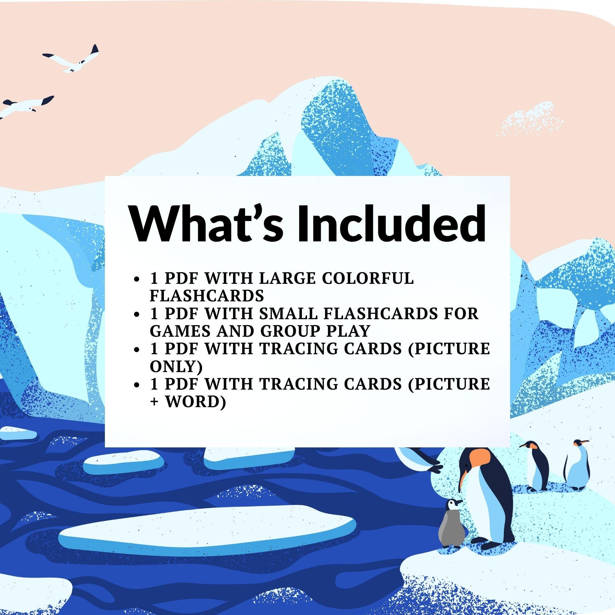 Printable Arctic Animals Flashcards – Educational Learning Game for ...