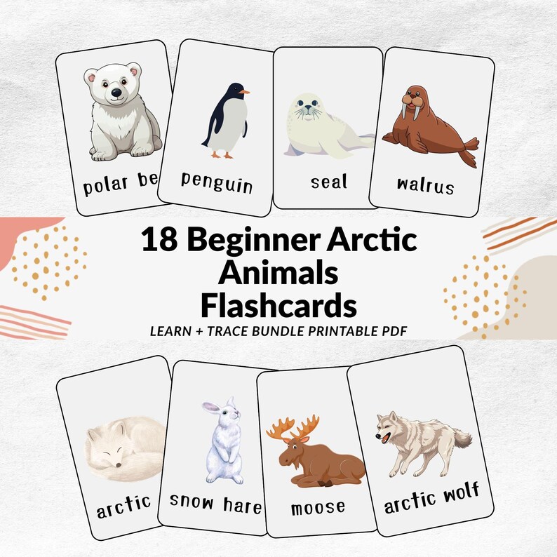 Printable Arctic Animals Flashcards – Educational Learning Game for ...