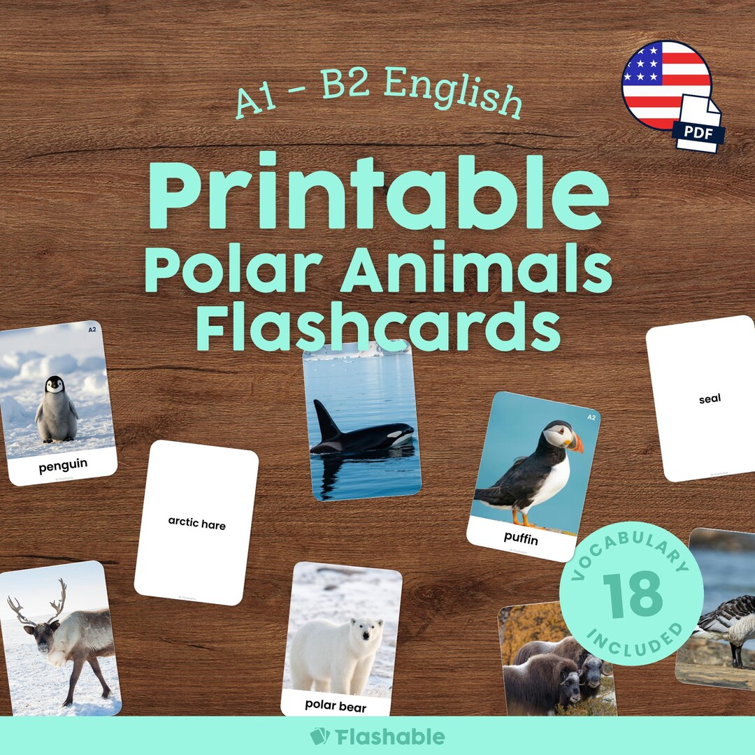 Polar Animals Flashcards for Kids Printable Montessori ESL Vocabulary ...
