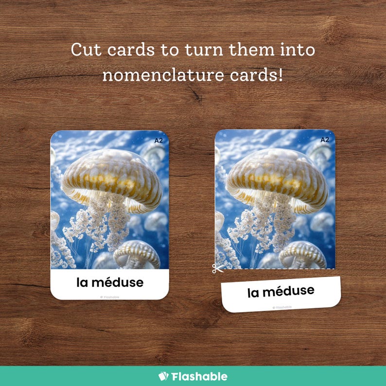 Printable French Ocean Animals Flashcards for Kids Montessori ...