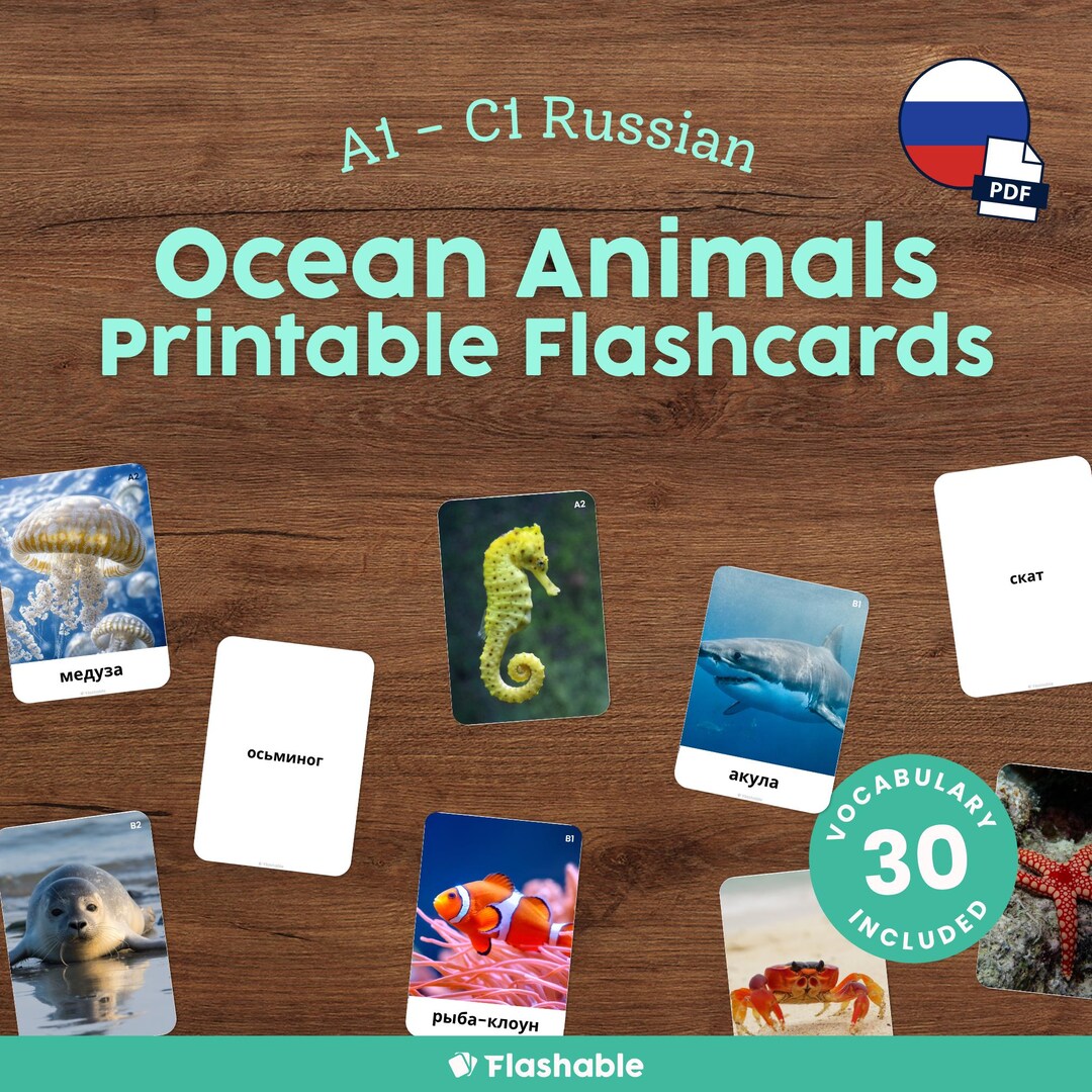 Printable Russian Flashcards for Kids Ocean Animals Vocabulary in ...
