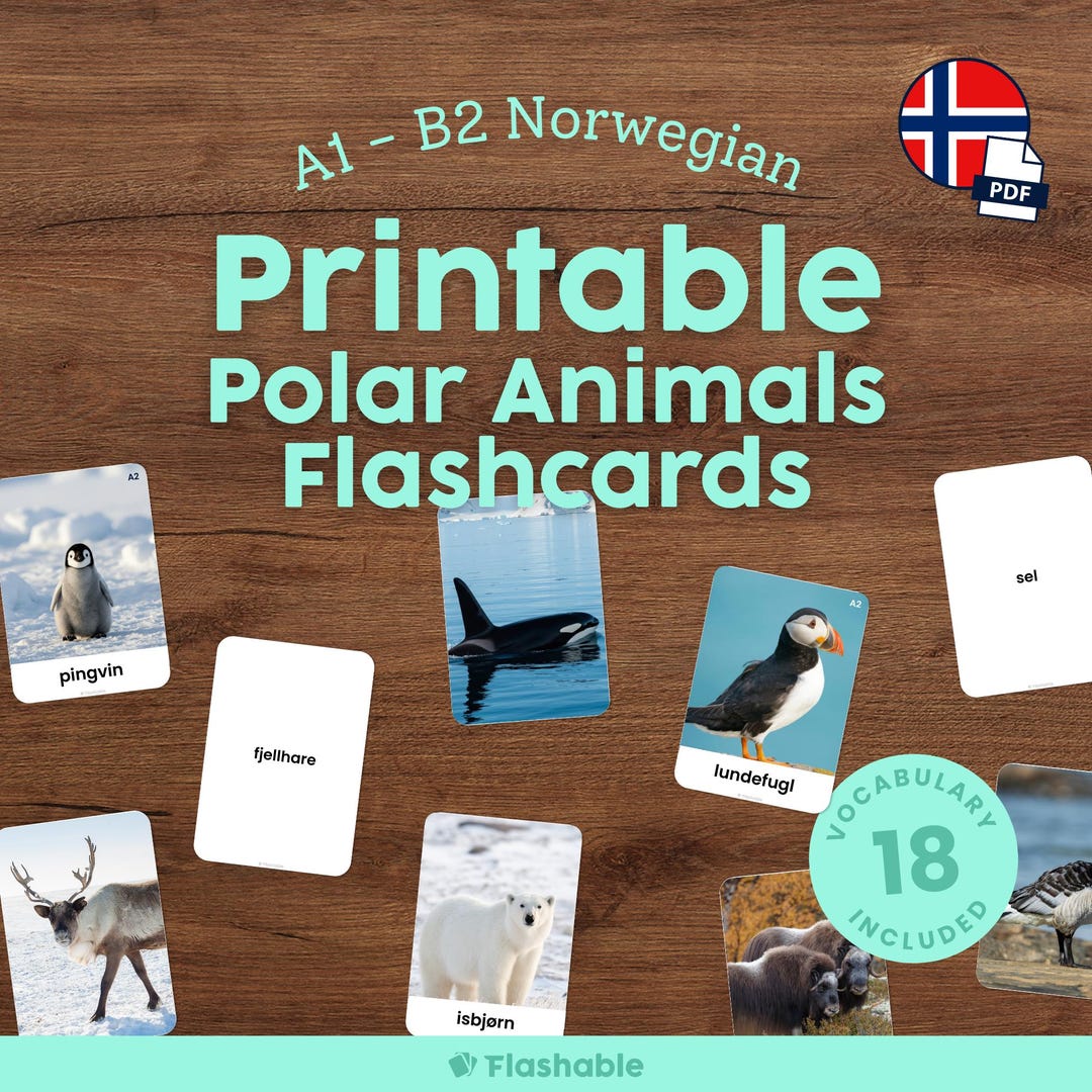Printable Norwegian Flashcards for Kids Polar Animals Vocabulary in ...