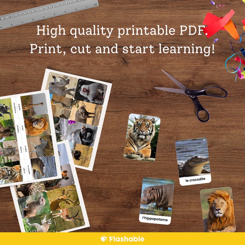 French Savanna Animals Flashcards for Kids Printable Montessori French ...