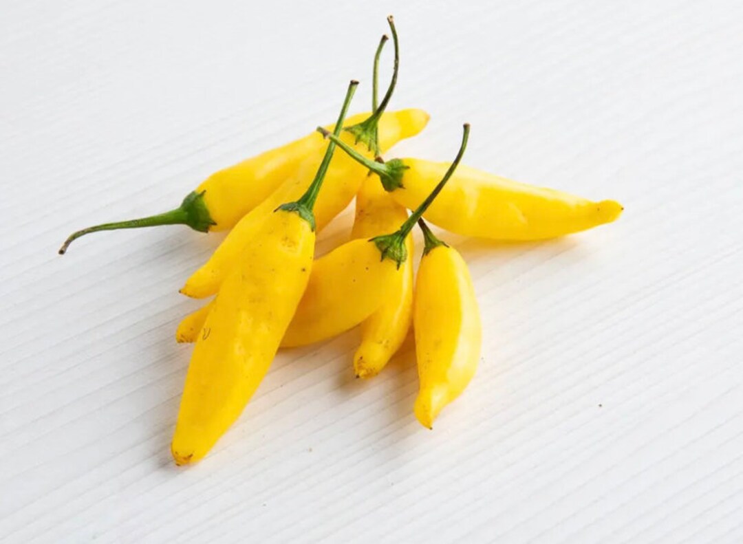 Lemon Drop Pepper Seeds Free Shipping - Etsy