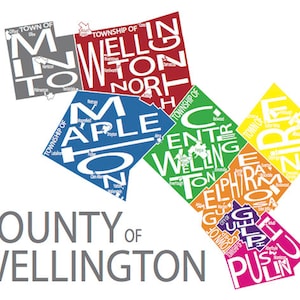 Typographic Map of the County of Wellington | Ontario County Print ...