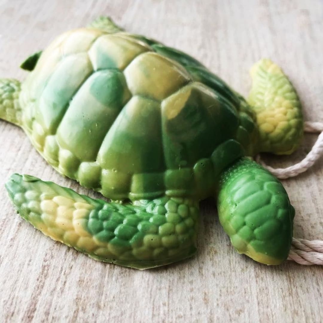 Sea Turtle Soap on a Rope, Birthday, Teacher Gifts, Gifts for Kids ...