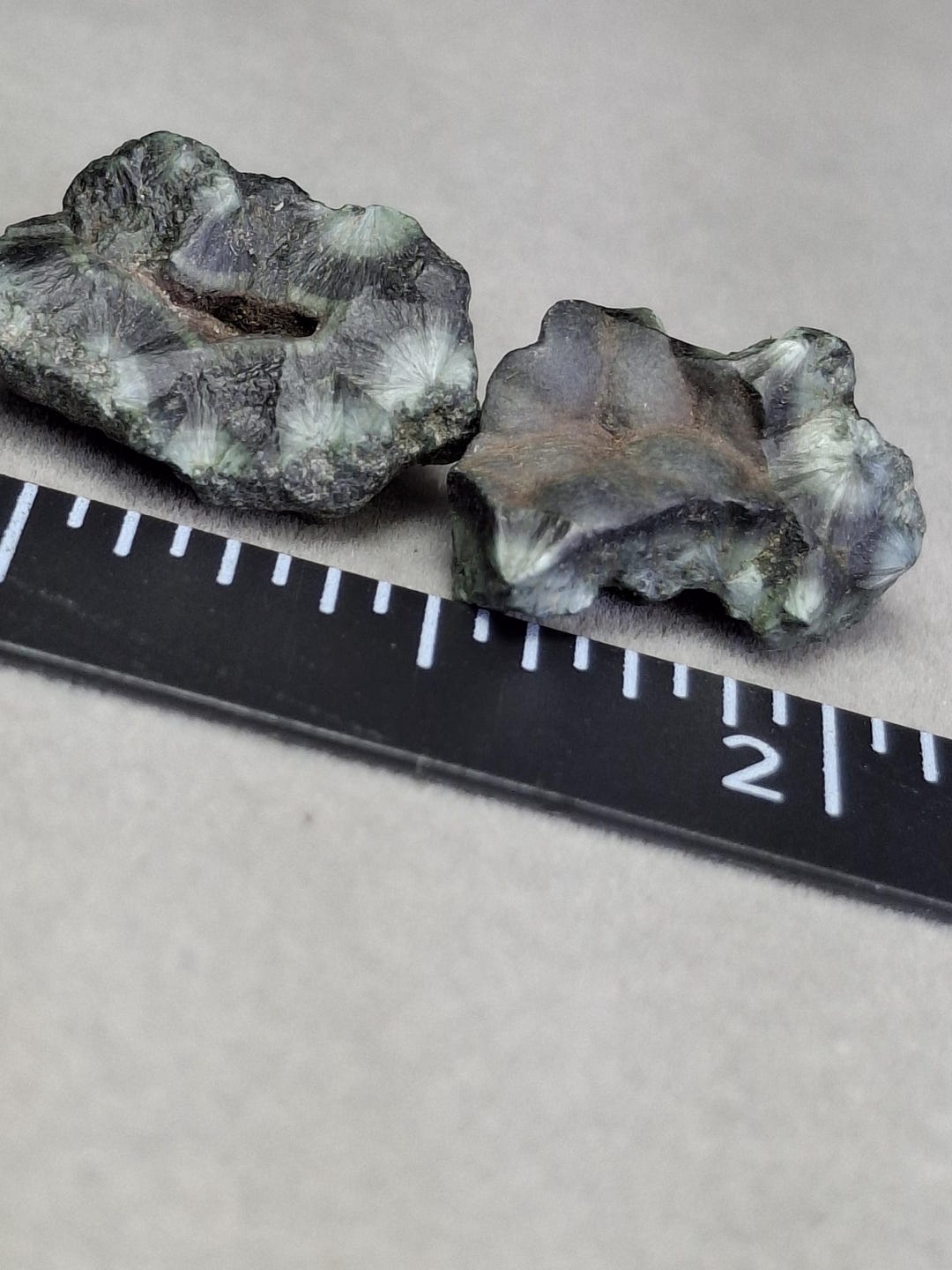 Isle Royale Greenstone 5.5g Rough Raw Lot (3 Pcs) Chlorastrolite ...