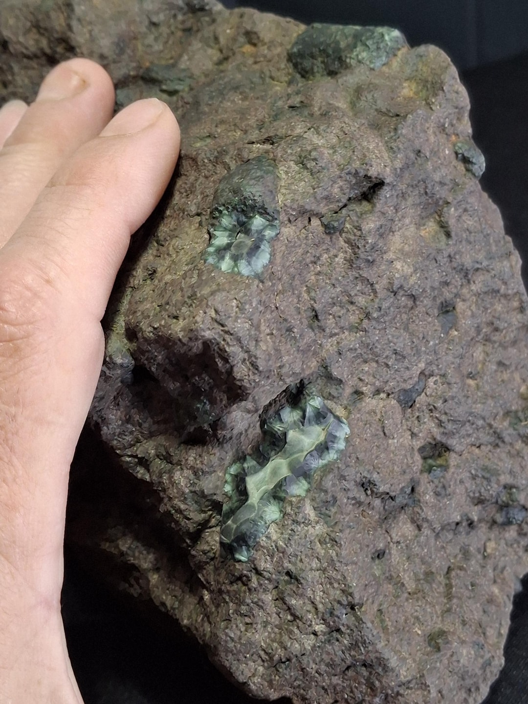 My Best Monster Museum Grade Isle Royale Greenstone Chlorastrolite Host ...