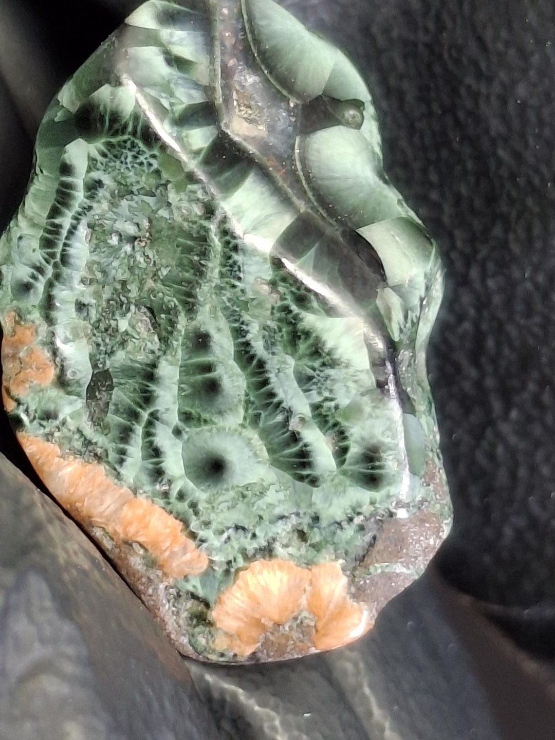 Rare Portrait Scene Poppy Patten Wild Isle Royale Greenstone ...