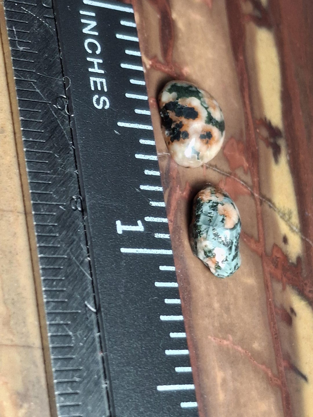 Lot of 2 Beautiful Poppy Isle Royale Greenstone Cabochon Chlorastrolite ...