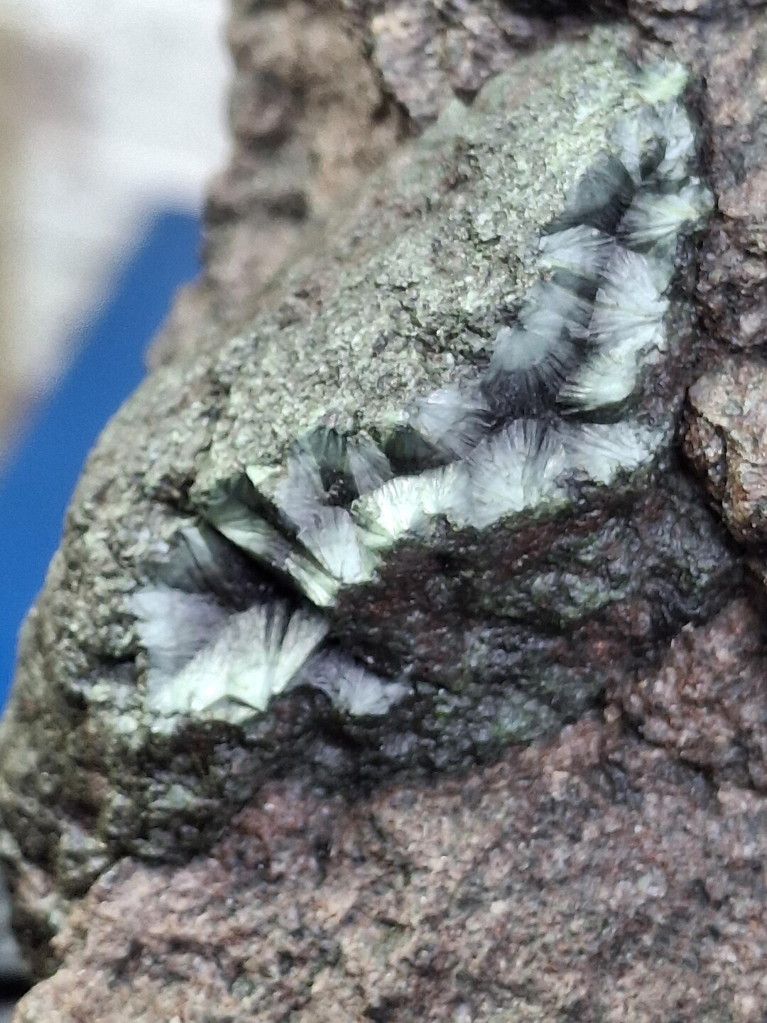 Monster Museum Grade Massive Greenstone Basalt Martix Isle Royale ...