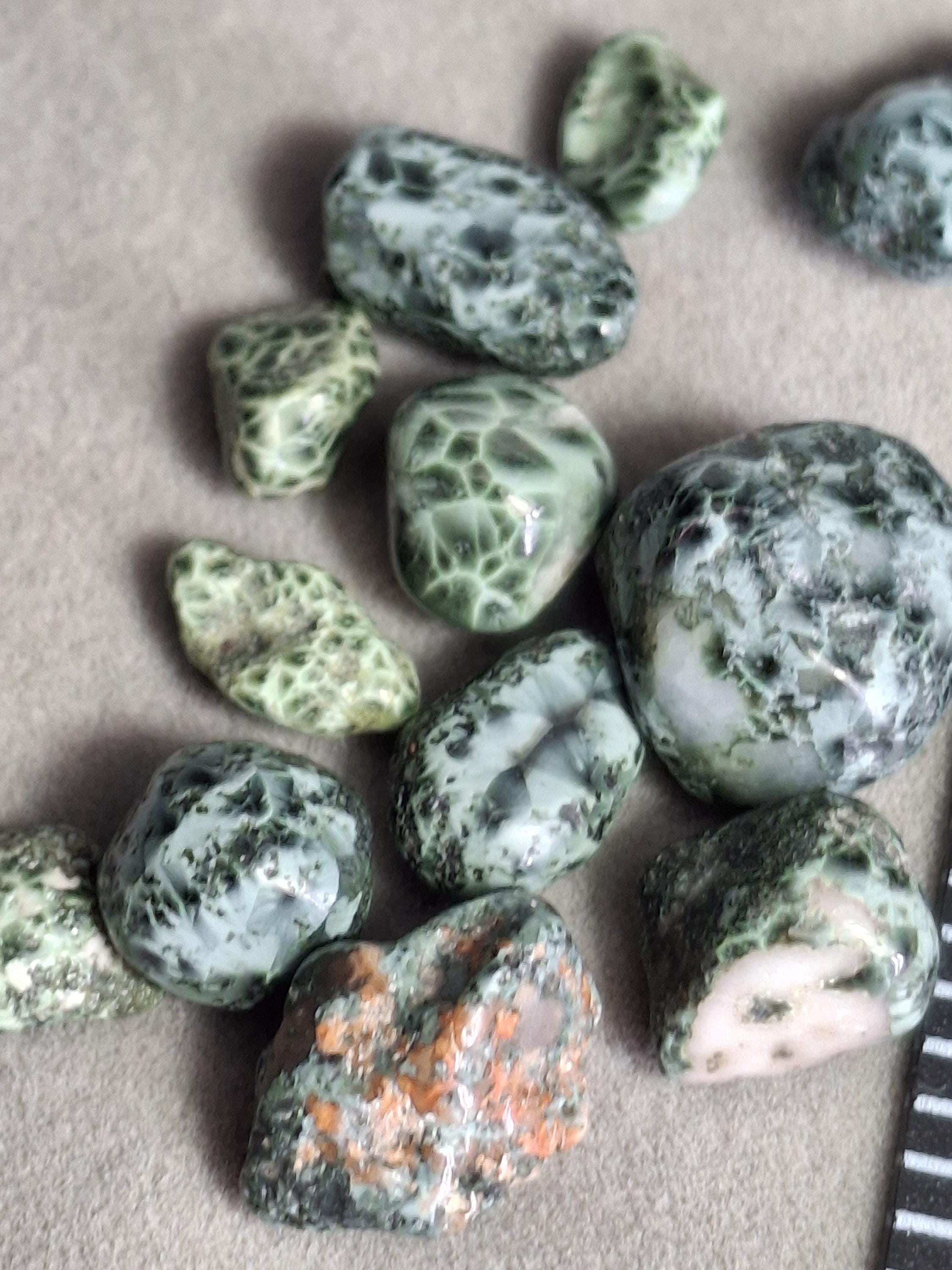 Isle Royale Greenstone 12 Count Lot Chlorastrolite Michigan State ...