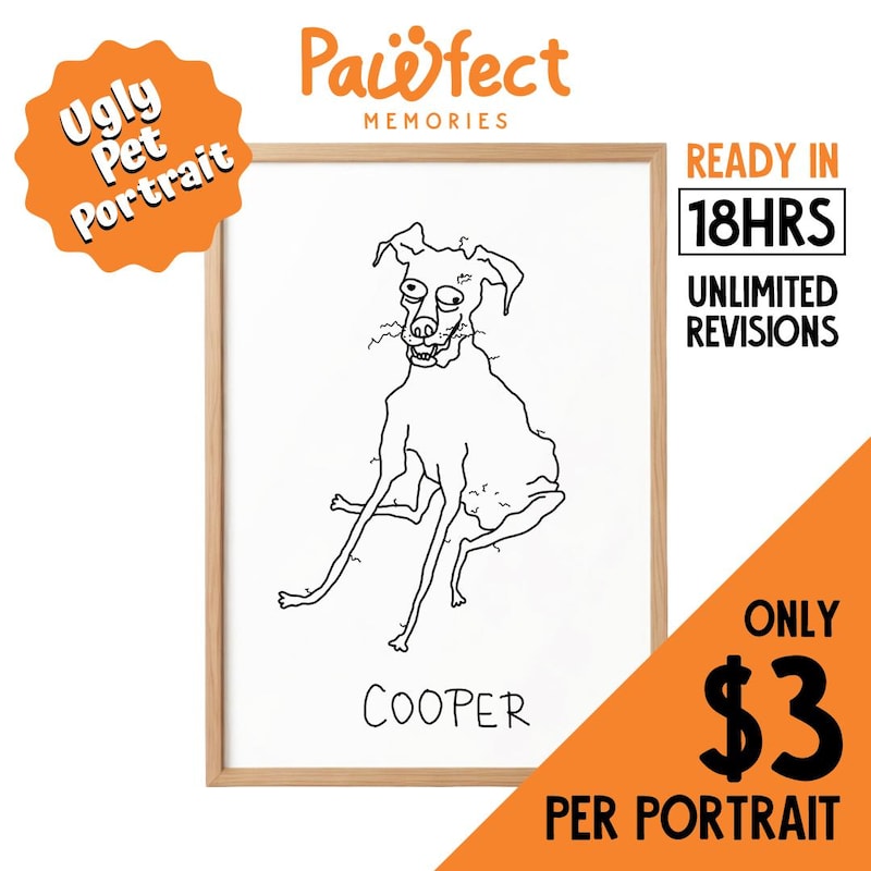Funny and Ugly Drawing - Etsy