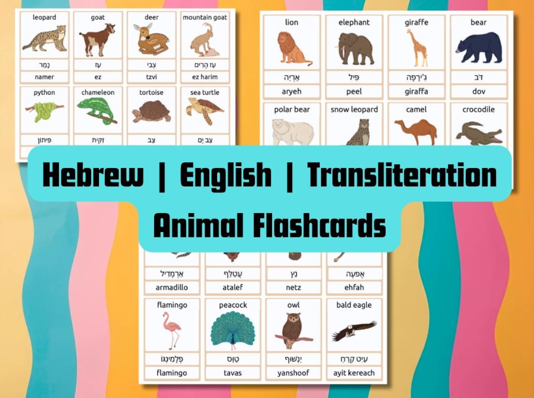 Printable Hebrew Animal Flashcards | Kids Learning Cards & Matching ...