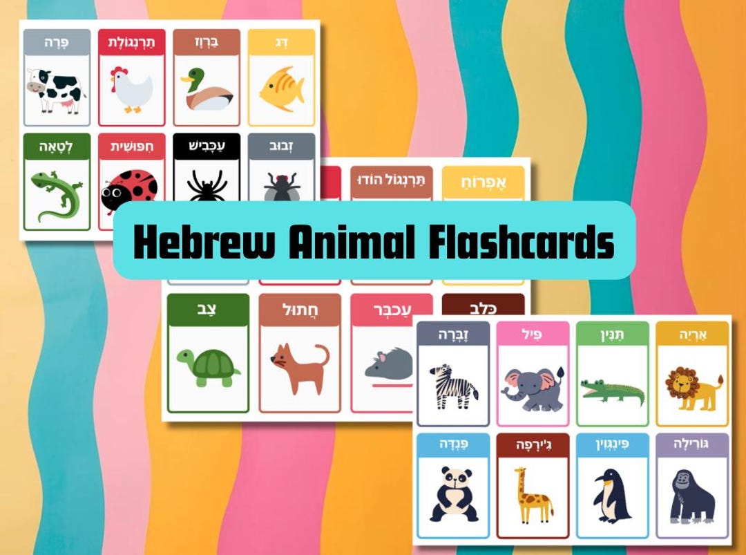 Printable Hebrew Animal Flashcards: Toddler and Kids Learning Game (PDF ...