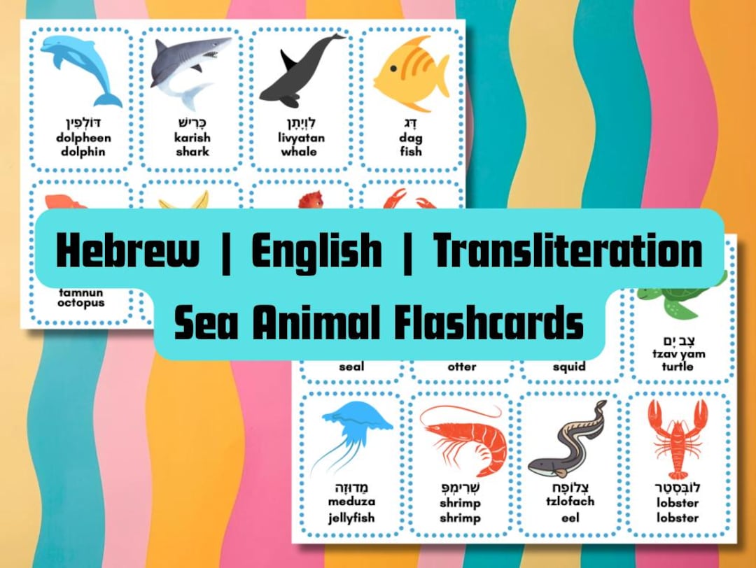 Hebrew Sea Animal Flashcards: Kids Learning Cards & Matching Game ...