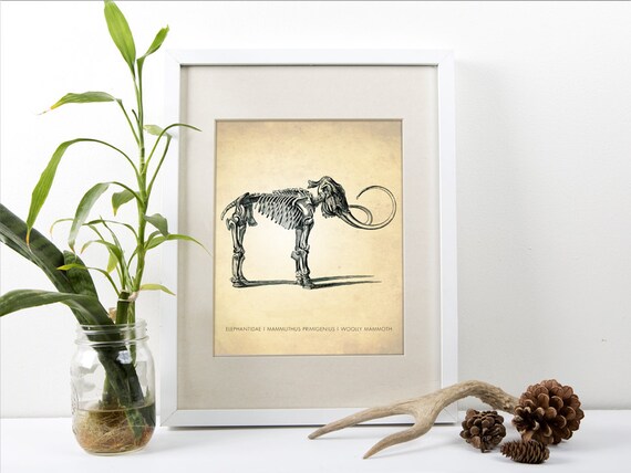 Woolly Mammoth Print Dinosaur Art Natural History Poster - Etsy