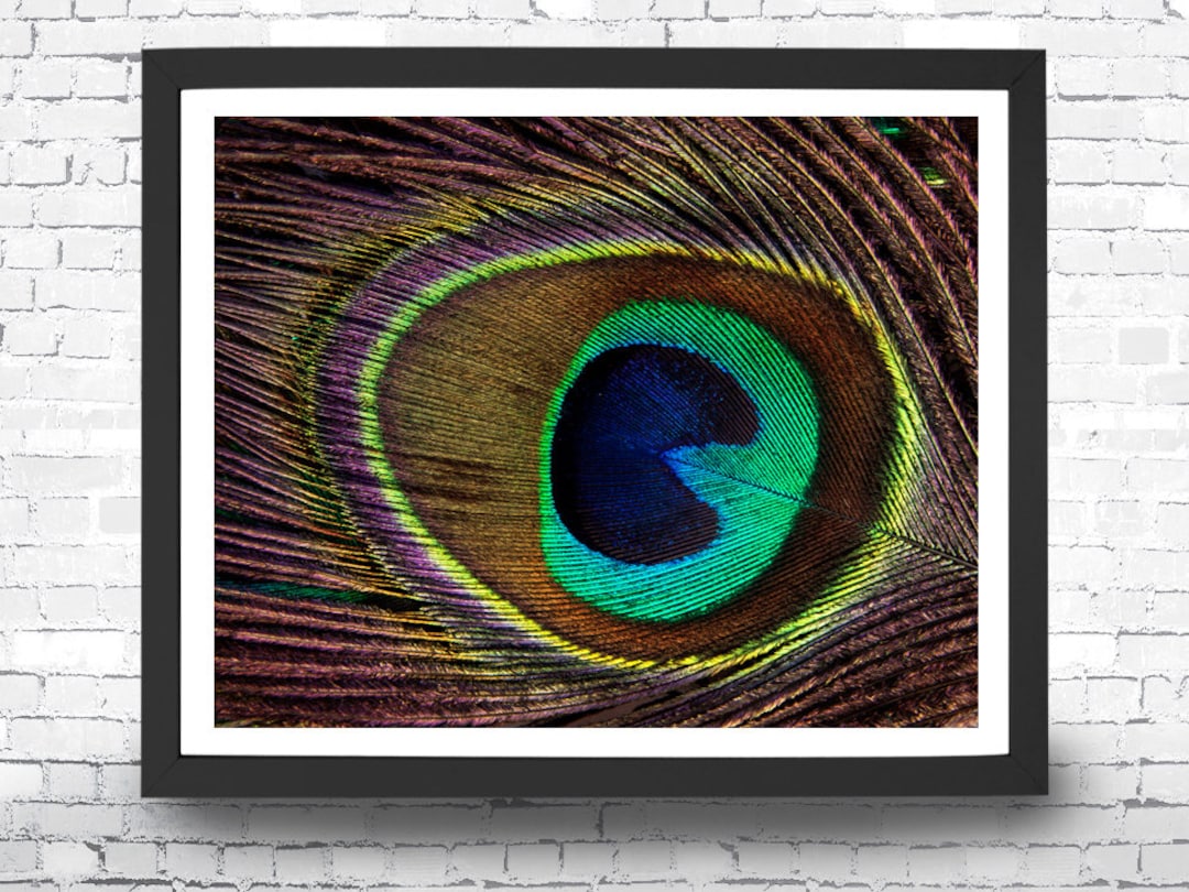 Peacock Feather Art Print Modern Wall Art Abstract Decor Large peacock-feather-art-print-modern-wall-art-abstract-decor-large
