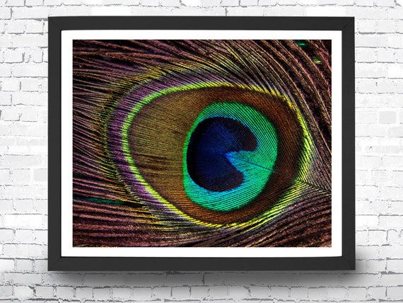 Peacock Feather Art Print Modern Wall Art Abstract Decor - Etsy