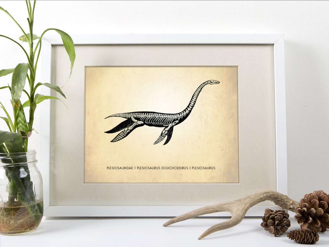 Plesiosaurus Art Print - Dinosaur Poster - Loch Ness Monster - Swimming ...