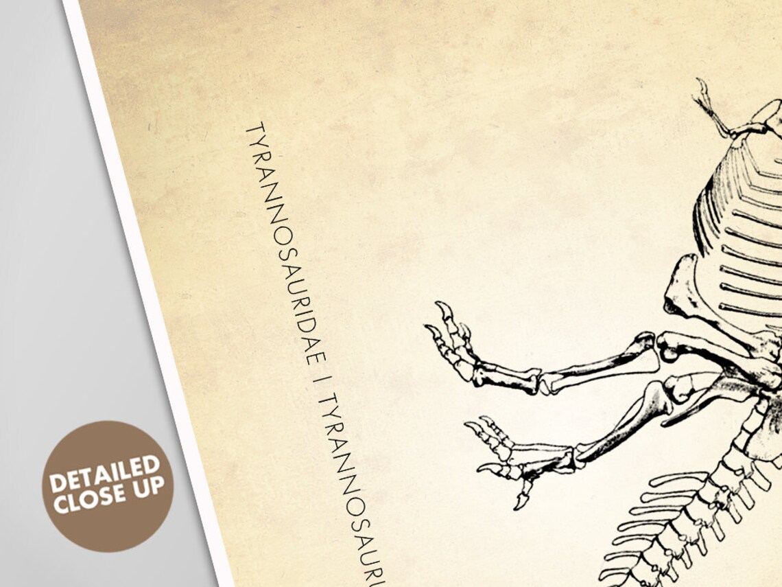 Tyrannosaurus Rex Art Print Dinosaur Poster T-rex Print - Etsy