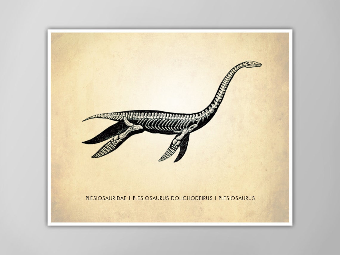 Plesiosaurus Art Print Dinosaur Poster Loch Ness Monster - Etsy