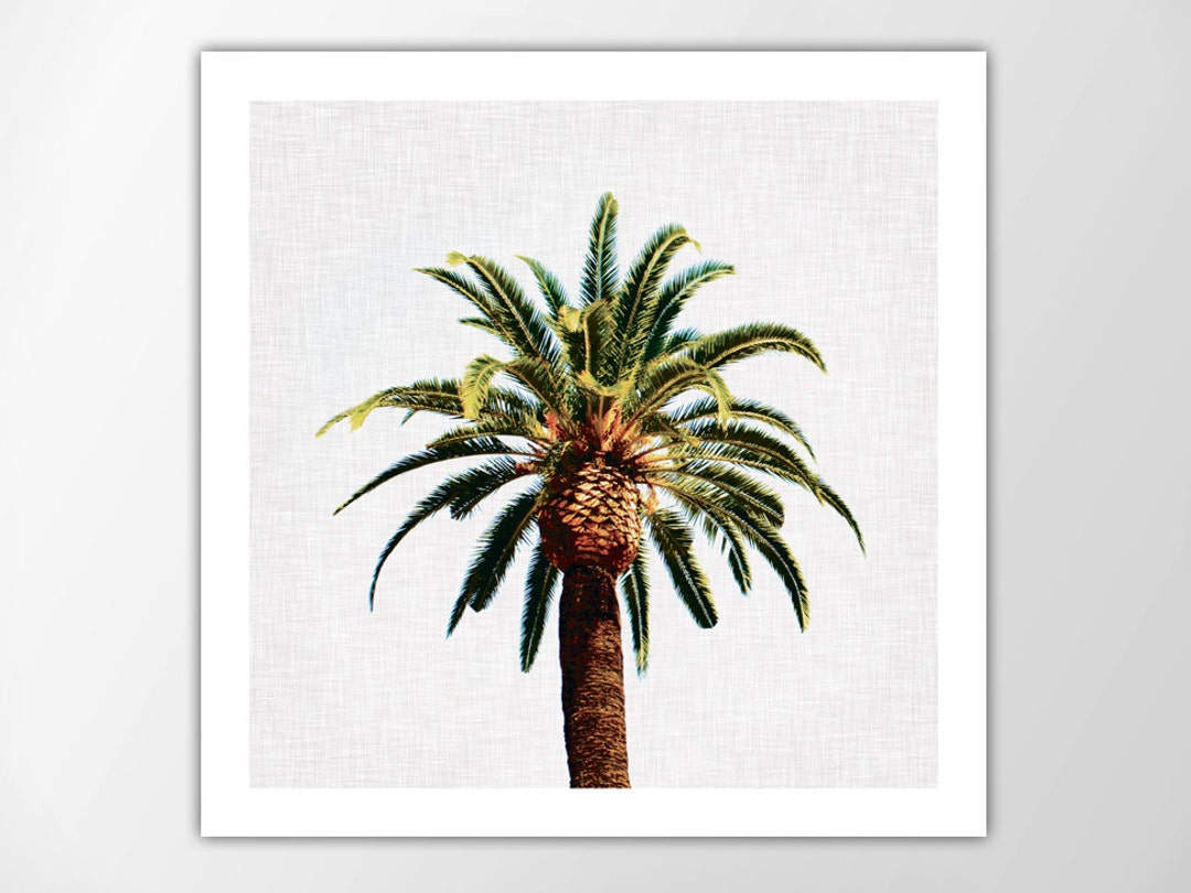 Square Palm Tree Art Print - Coastal Tropical Beach Decor - Palm Leaves ...