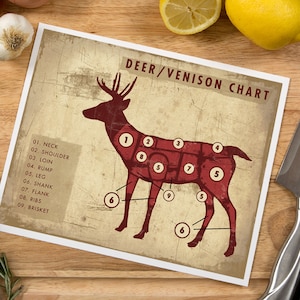 Deer Venison Meat Chart - Rustic Butcher Chart - Meat Cuts Poster ...