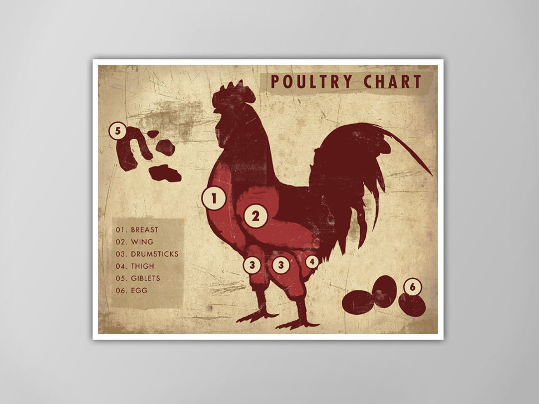 Poultry Meat Chart - Rustic Butcher Chart - Chicken Art Print - Cooking ...