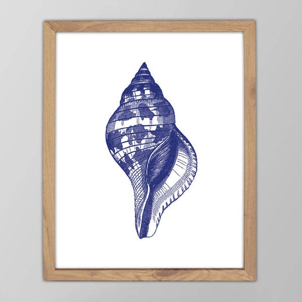 Shell Art Print - Etsy