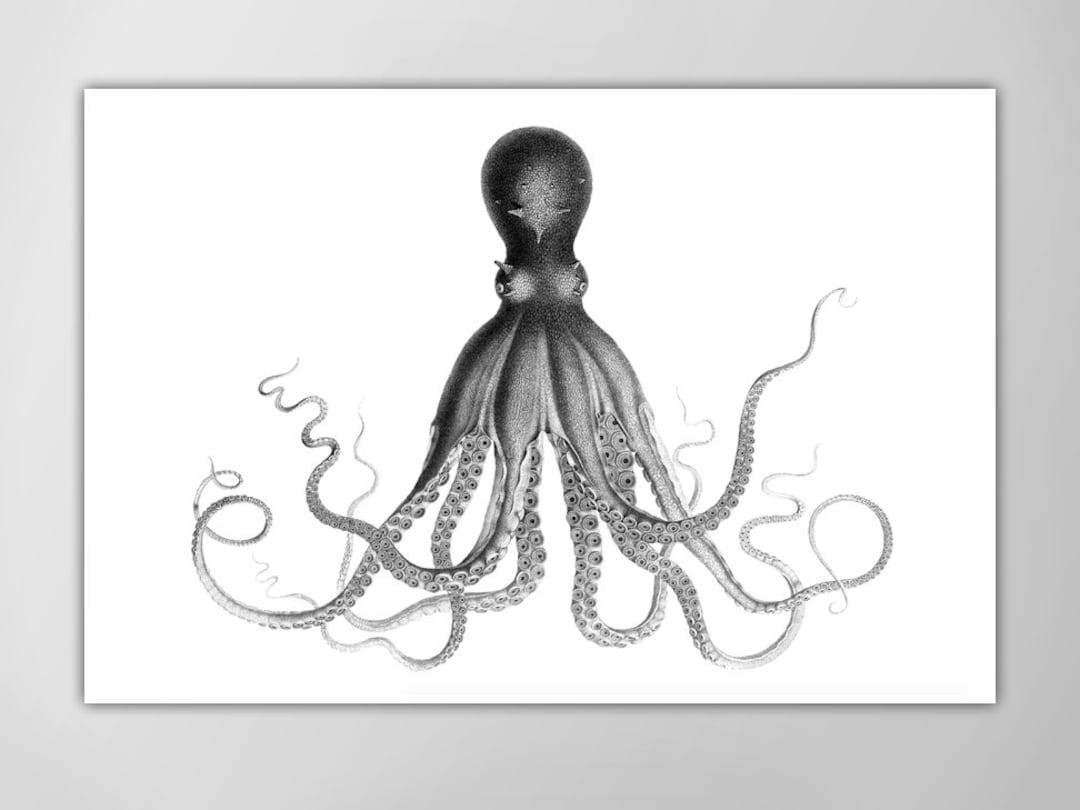 Lord Bodner's Octopus Poster - Nautical Art Print - Giant Octopus ...