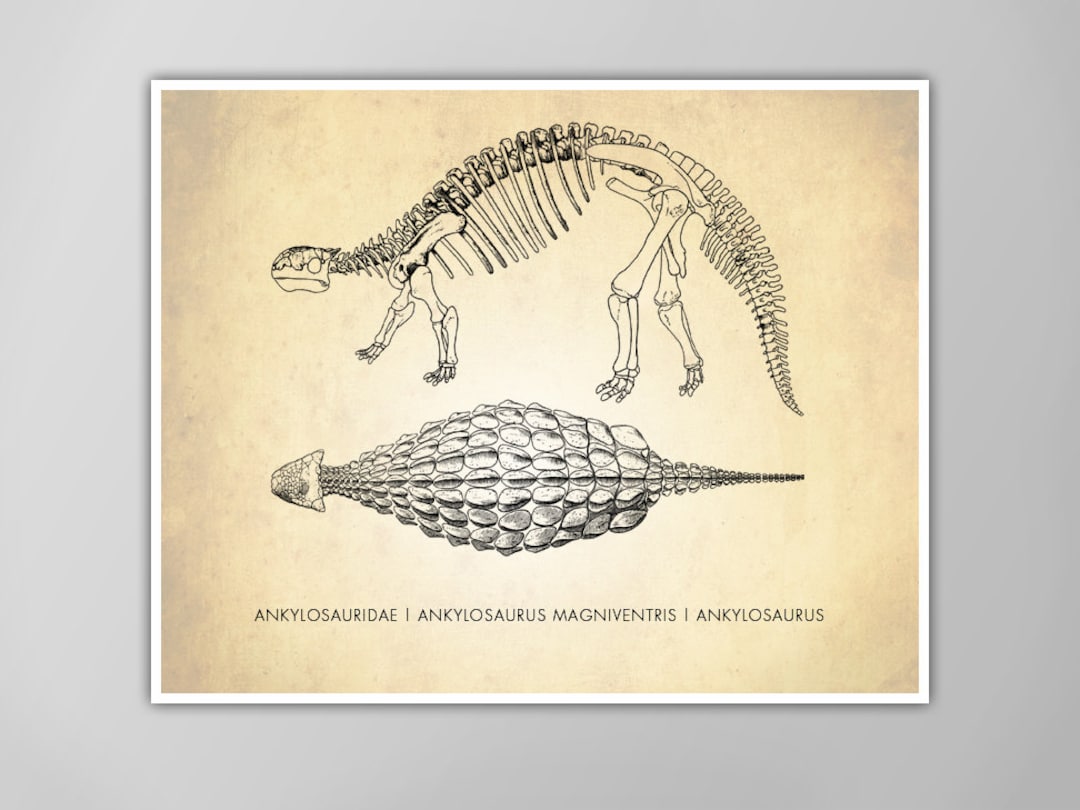 Ankylosaurus Art Print - Dinosaur Poster - Hard Shell Dinosaur - Dino ...
