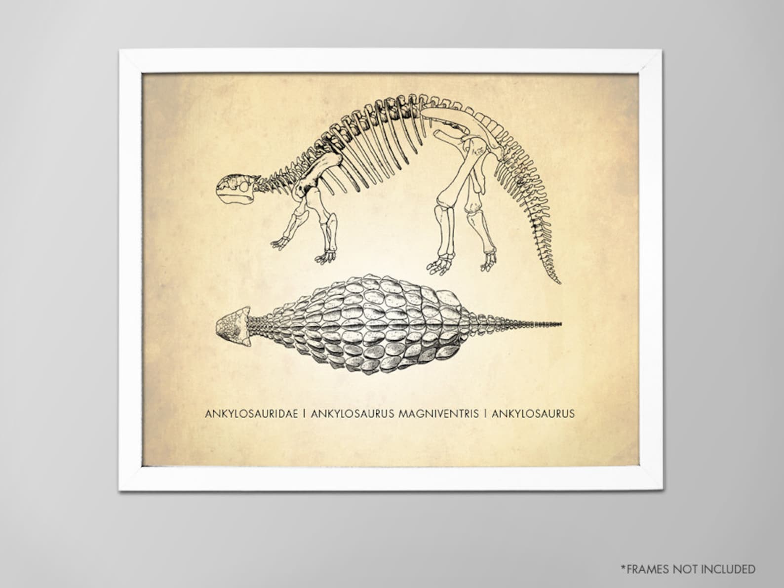 Ankylosaurus Art Print - Dinosaur Poster - Hard Shell Dinosaur - Dino ...
