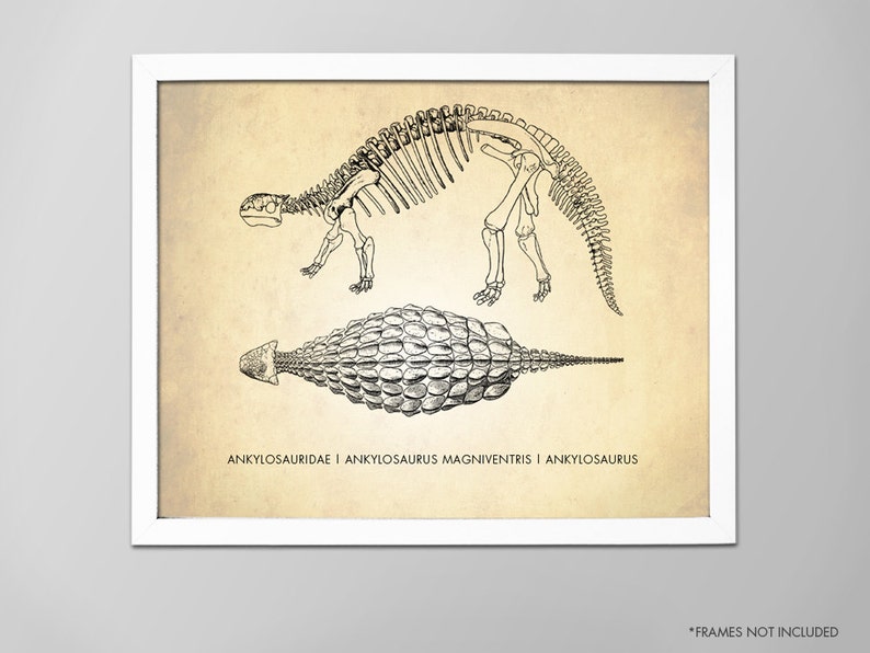 Ankylosaurus Art Print - Dinosaur Poster - Hard Shell Dinosaur - Dino ...