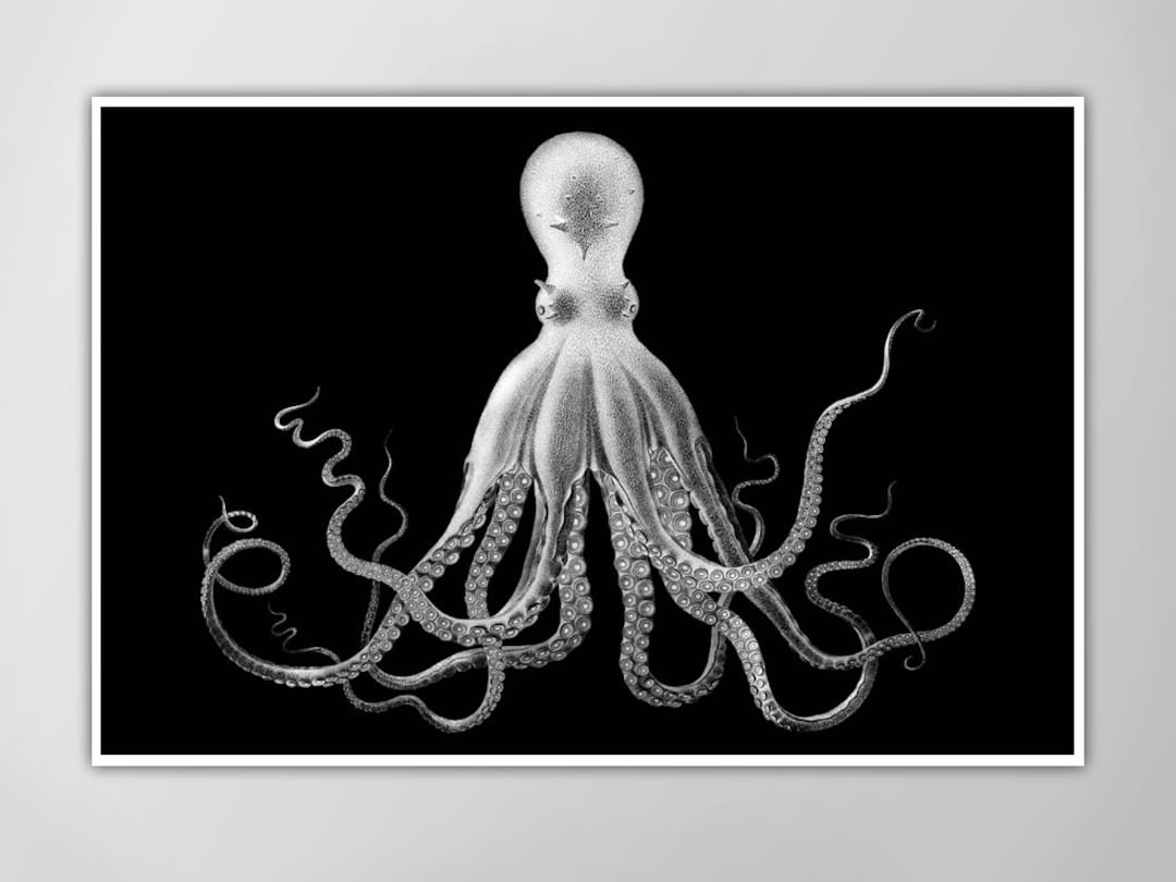Lord Bodner's Octopus - Giant Octopus Poster - Nautical Art Print ...