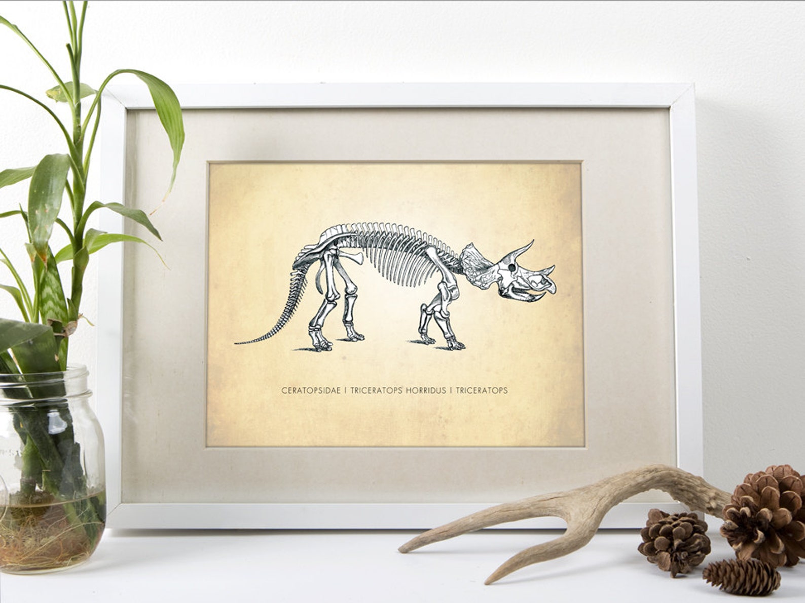 Triceratops Dinosaur Art Print Dinosaur Wall Art Natural - Etsy