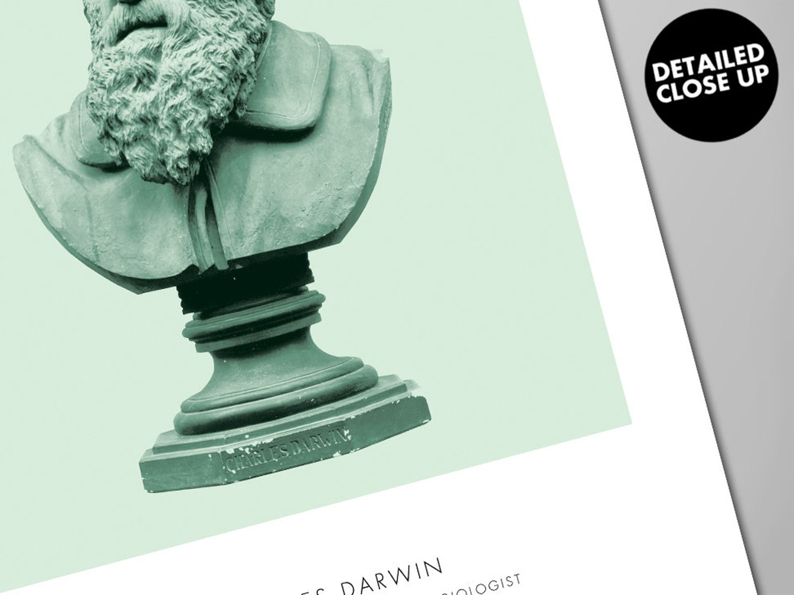 Charles Darwin Portrait of Darwin Darwin Bust Art Print - Etsy