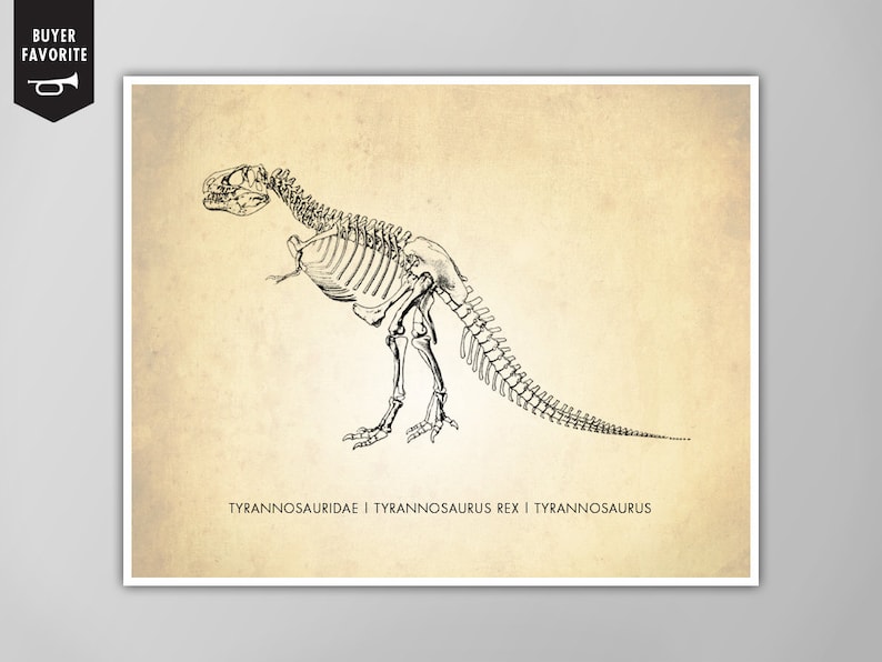 Tyrannosaurus Rex Art Print Dinosaur Poster T-rex Print - Etsy