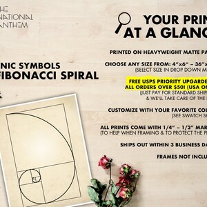 Fibonacci Spiral Art Print Fibonacci Sequence Print | Etsy