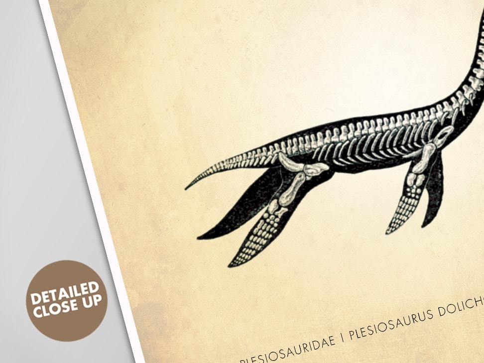 Plesiosaurus Art Print Dinosaur Poster Loch Ness Monster - Etsy