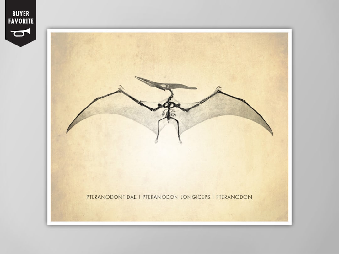 Pteranodon Art Print - Dinosaur Poster - Natural History Decor ...