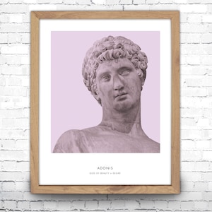 Adonis - Portrait of Adonis - Greek Mythology - Bust Art Print - Modern ...