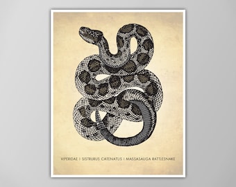 SNAKE FLOWER, Natural History, Collage Artwork, Botanical Art, Animal ...