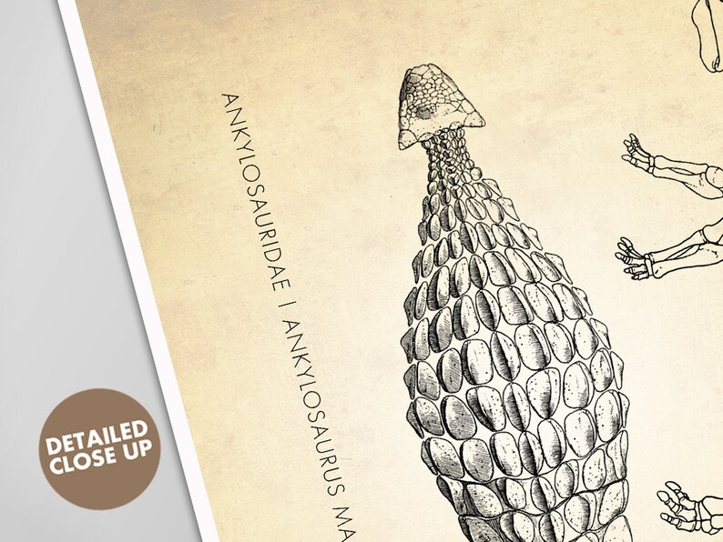 Ankylosaurus Art Print - Dinosaur Poster - Hard Shell Dinosaur - Dino ...