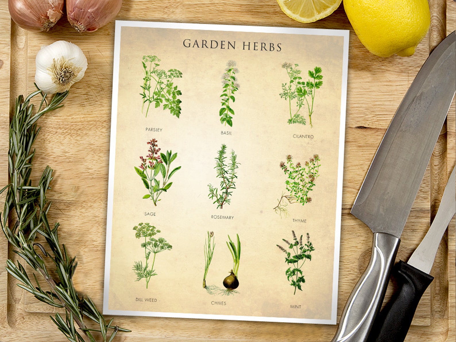Garden Herbs Poster - Kitchen Decor - Herbs and Spices Chart ...
