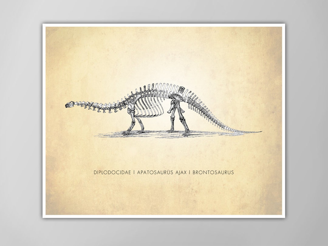 Brontosaurus Dinosaur Art Print - Dinosaur Poster - Kids Room Art Print - Dino Skeleton ...