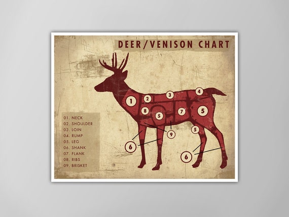 Deer Venison Meat Chart Rustic Butcher Chart Meat Cuts - Etsy